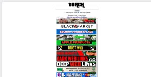 Torch Search Engine – How It Works, Risks, and Safer Use - Darknet InSight